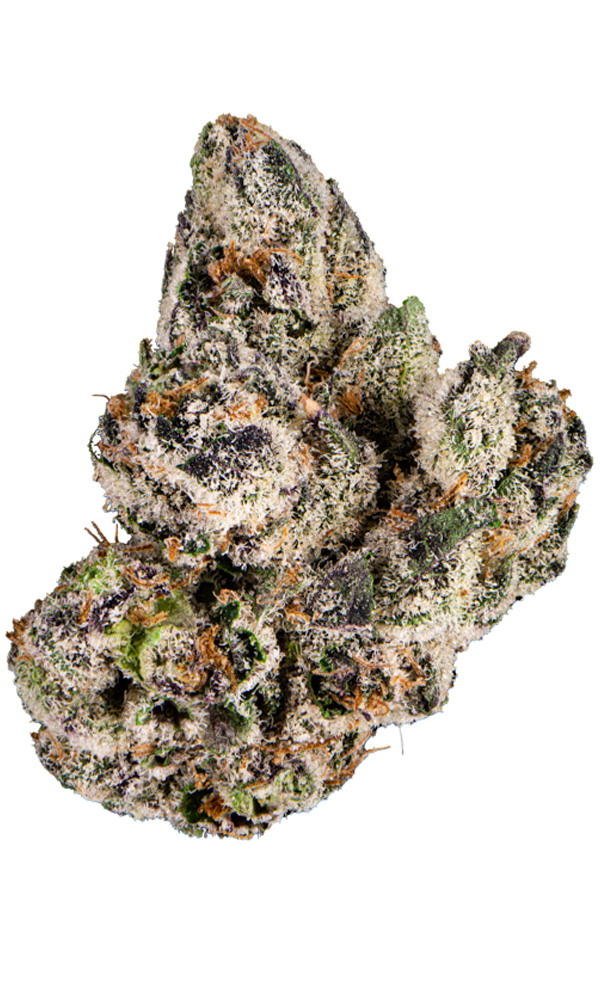 BLACK CHERRY GELATO EIGHTH - The Flowery